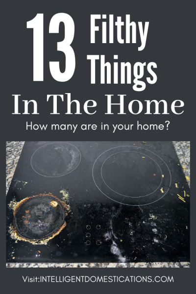 13 Filthy Things In The Home (Free Printable for Your Workplace)