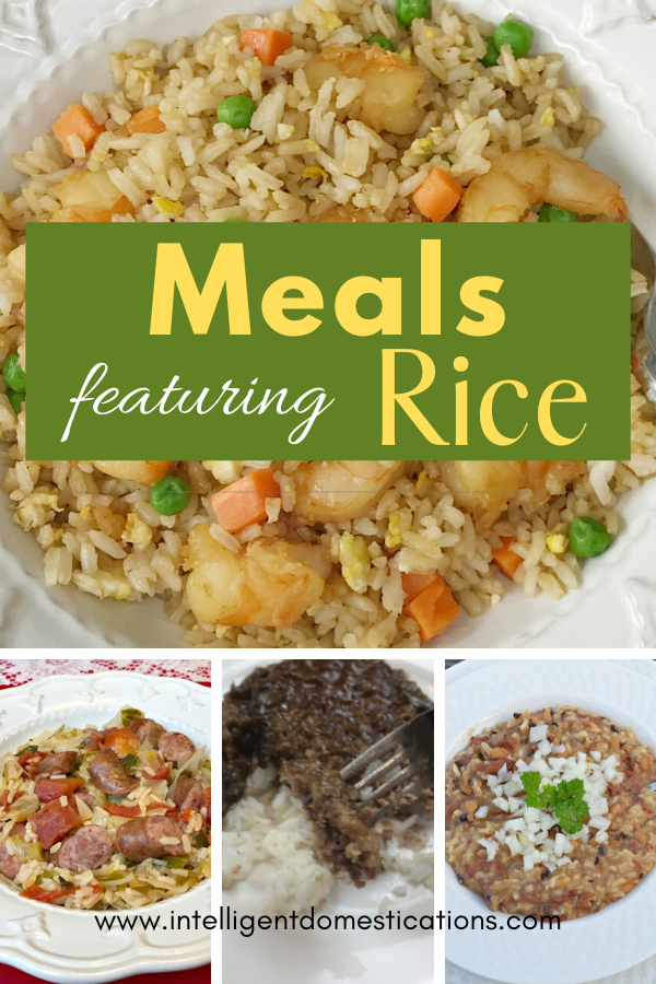 7 Tasty Meals You Can Make With Rice - Intelligent Domestications