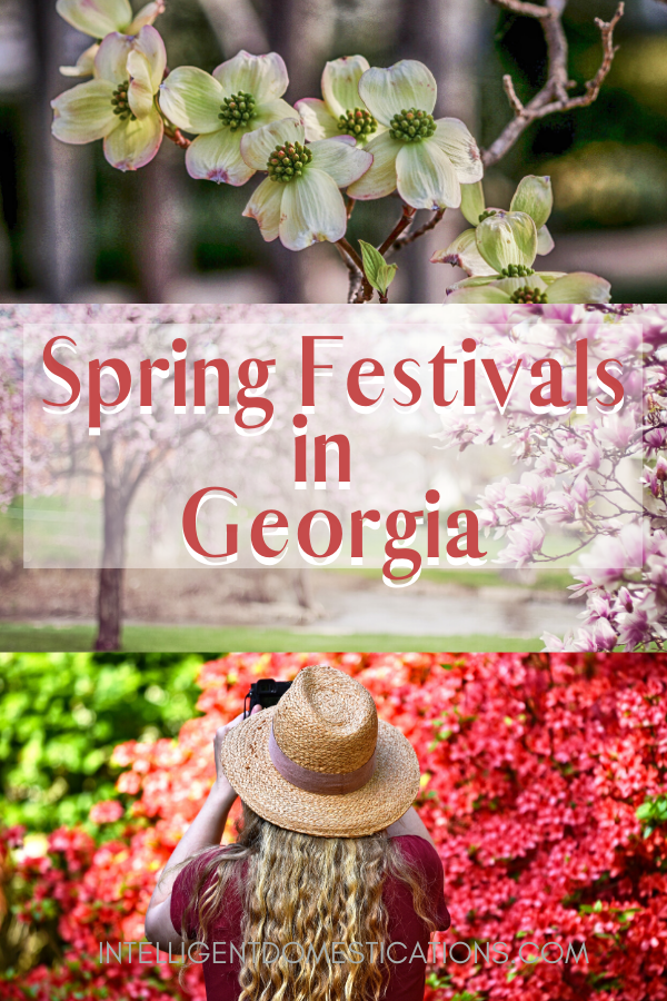 Georgia Spring and Summer Fairs & Festivals - Intelligent Domestications